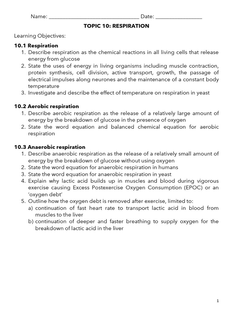 10 Respiration notes | PDF | Cellular Respiration | Lactic Acid