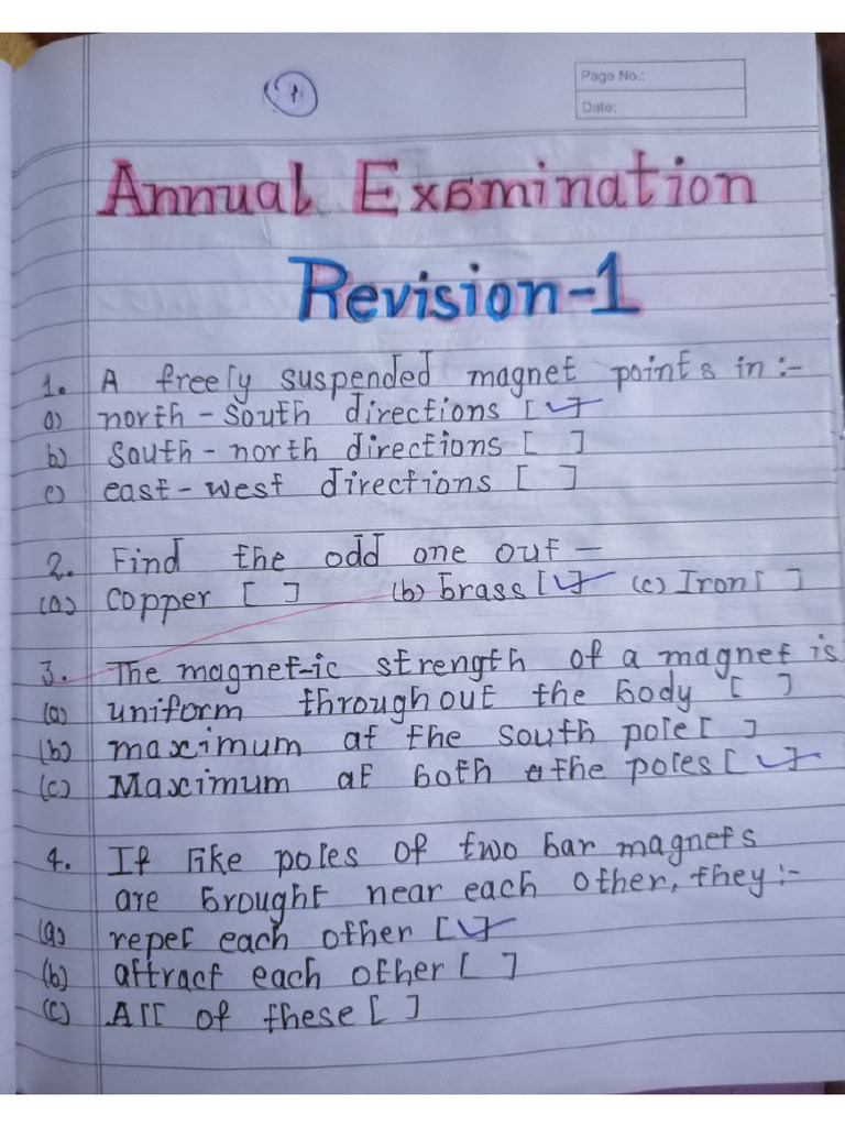 Class VI Science Work | PDF