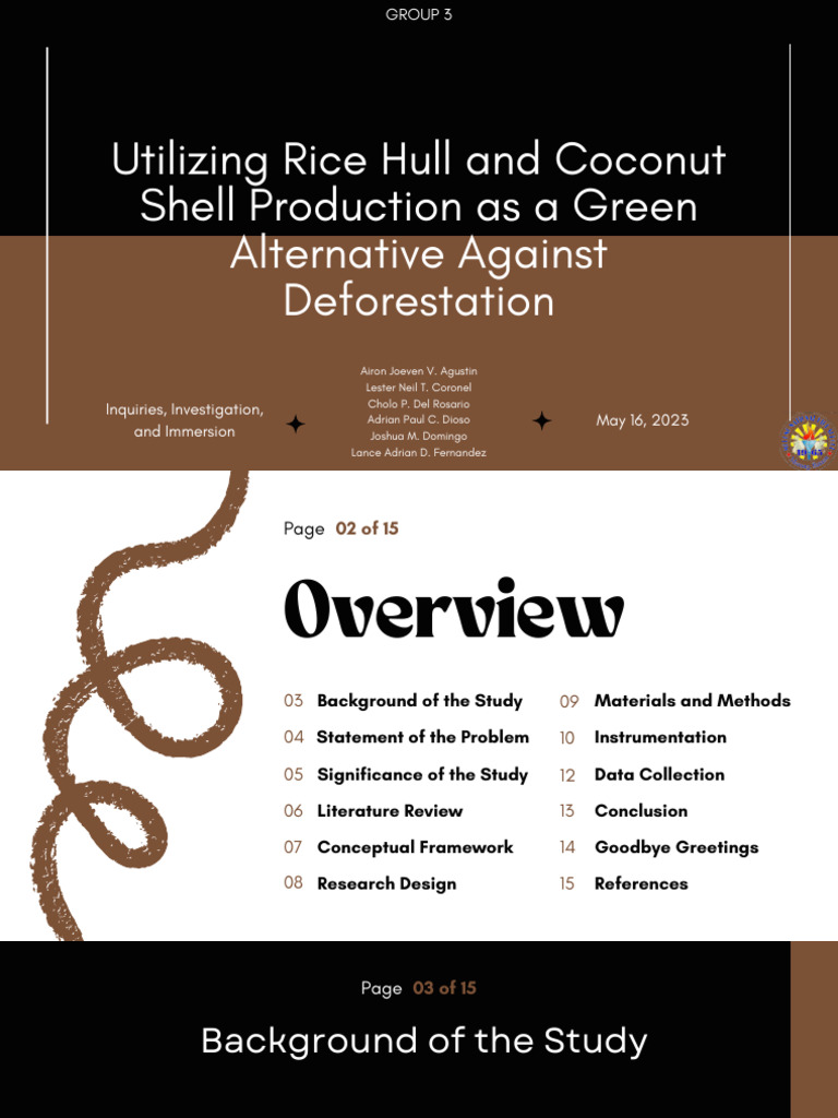 Utilizing Rice Hull and Coconut Shell Production As A Green Alternative ...
