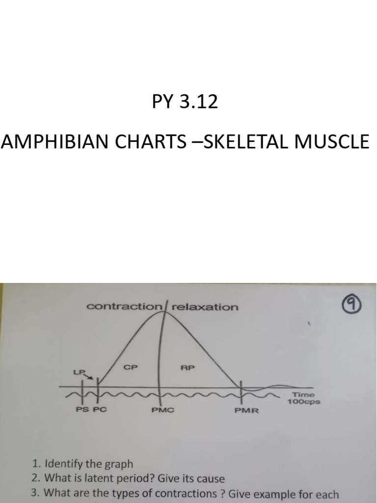 Amphibian Muscle Charts | PDF | Muscle Contraction | Skeletal Muscle