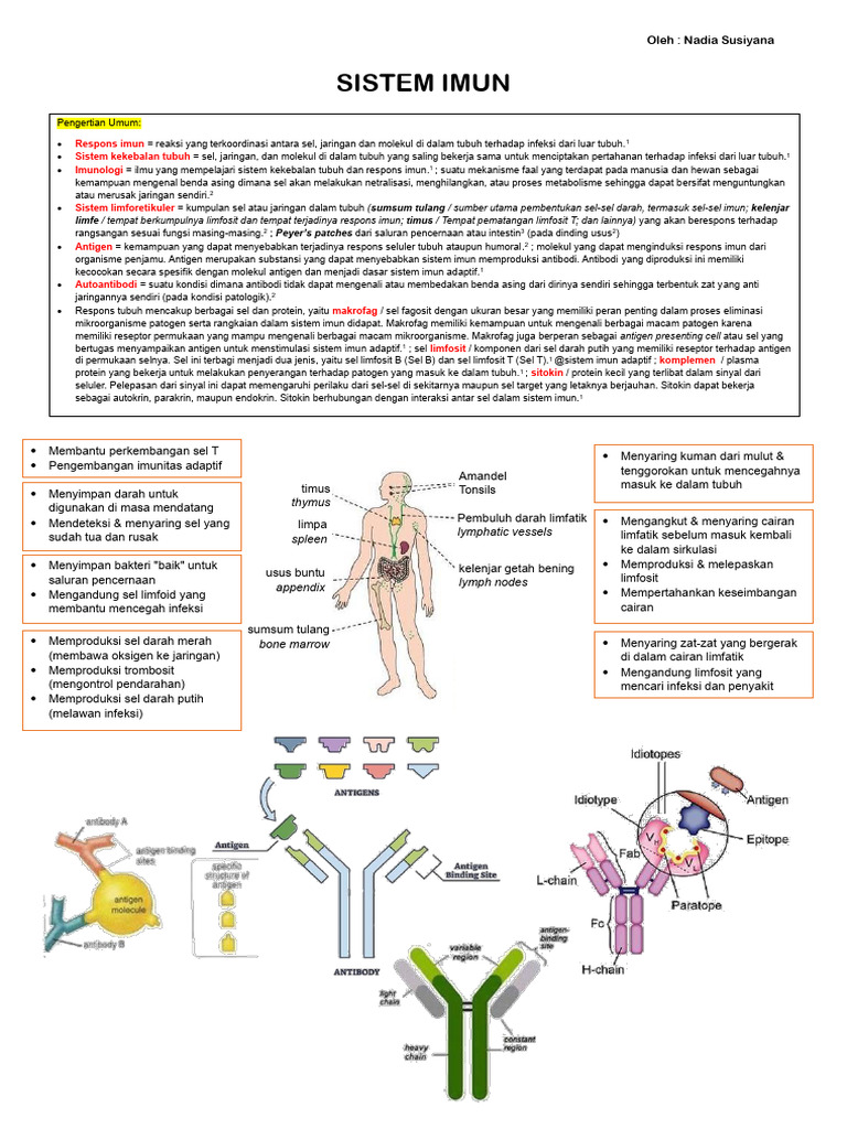 Sistem Imun | PDF