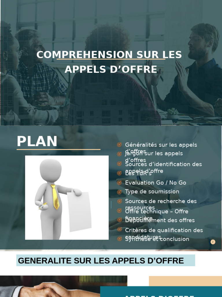 COMPREHENSION SUR LES APPELS D'OFFRE | PDF