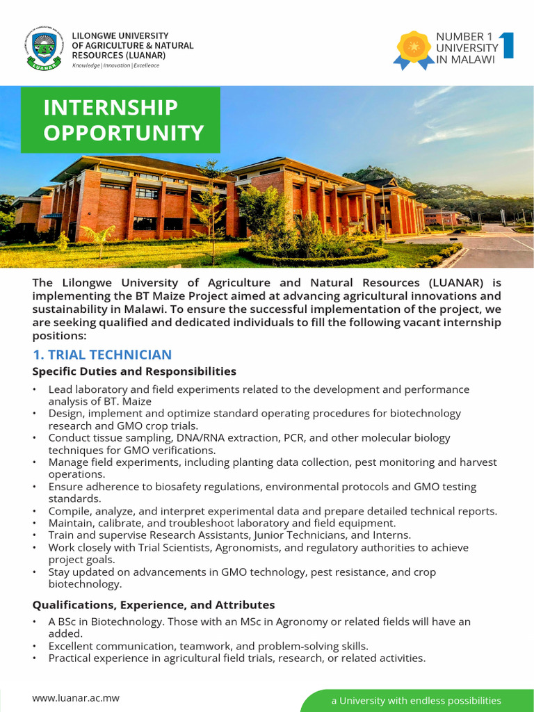 INTERNSHIP OPPORTUNITY - BT Maize Project | PDF | Genetically Modified Organism | Biotechnology