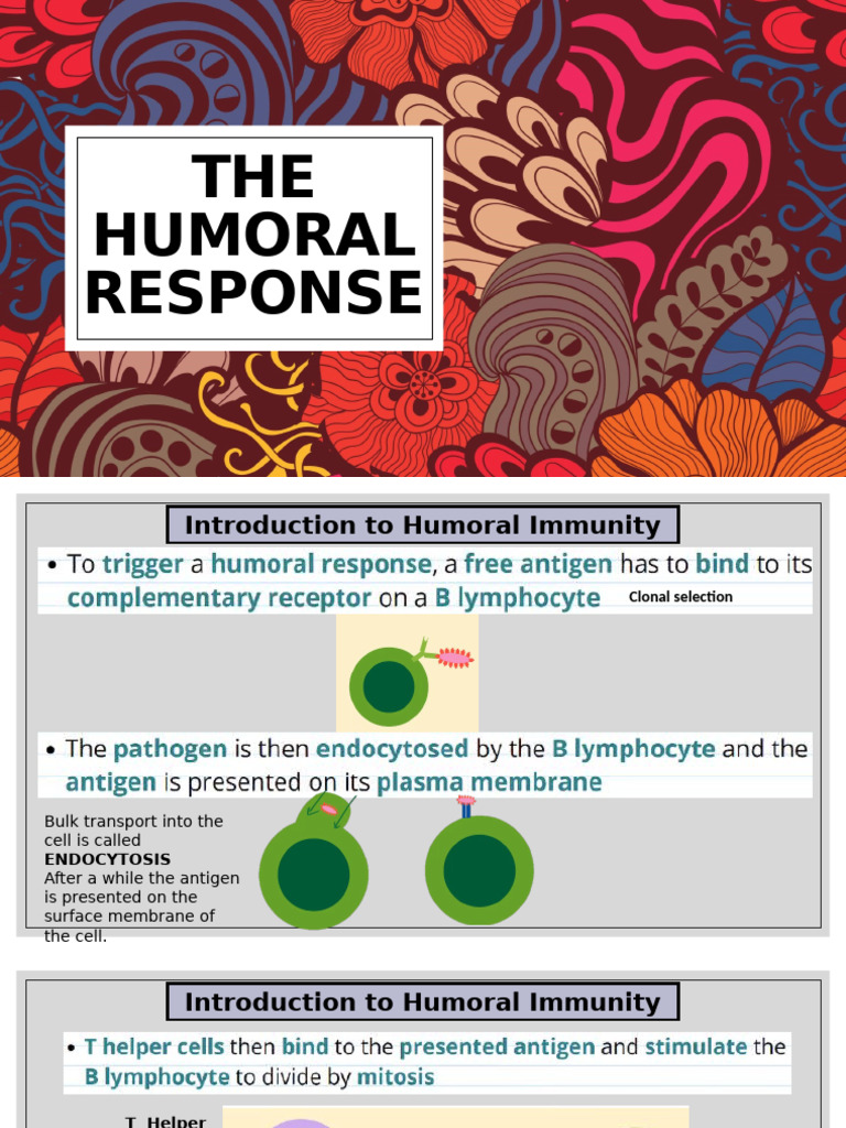 The Humoral Response | PDF | B Cell | Immune System