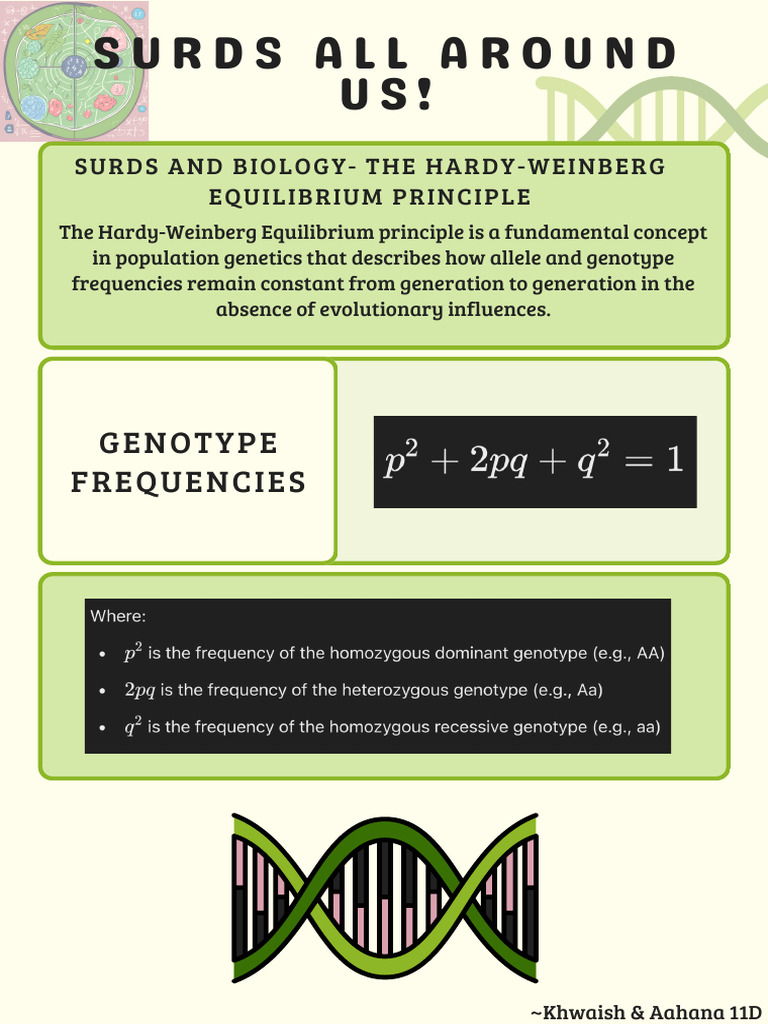Surds With Bio | PDF