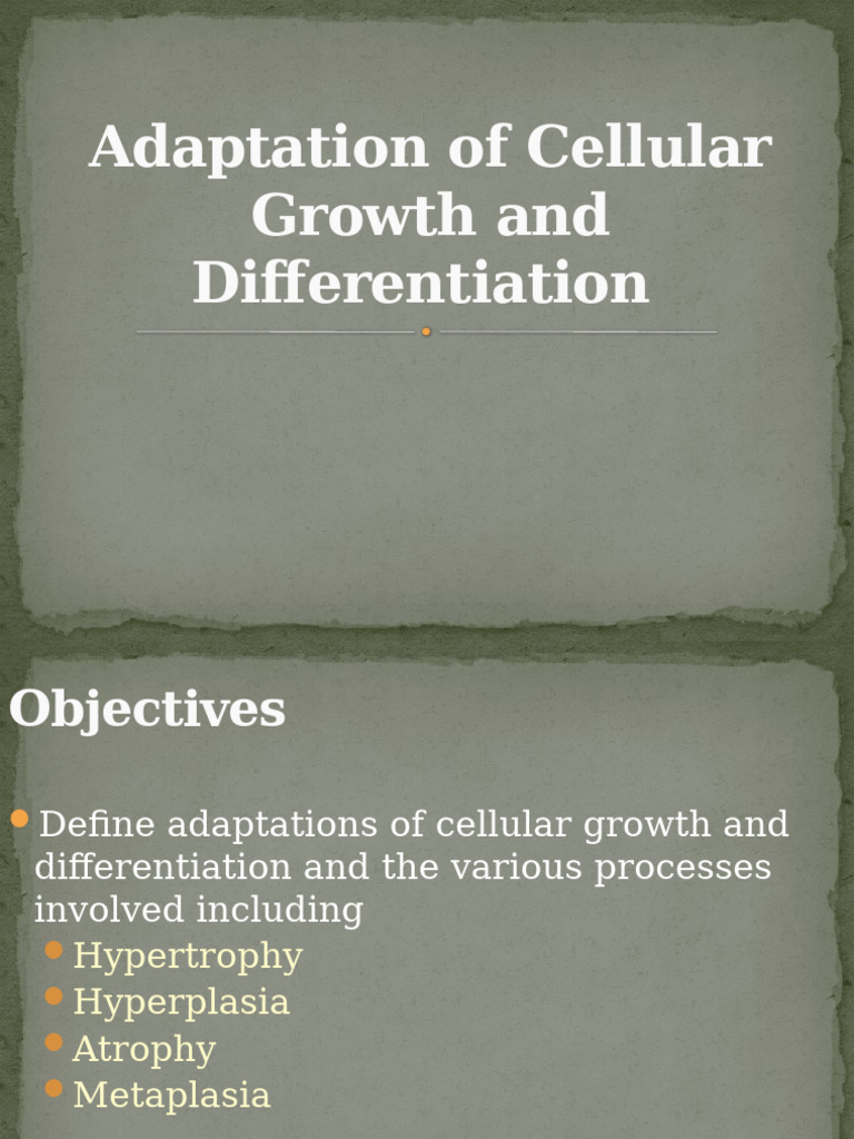 Cellular Growth and Differentiation Adaptations | PDF | Epithelium ...
