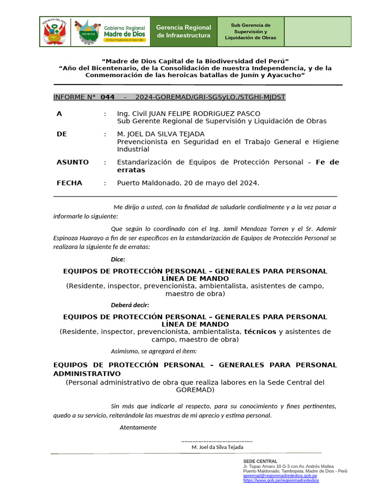 INFORME 044-2024 - ESTANDARIZACION EPP Fe de Erratas | PDF | Casco | Guante