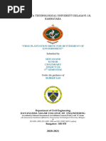 UU200 Tree Planting Report: Mangroves | PDF | Mangrove | Coral Reef