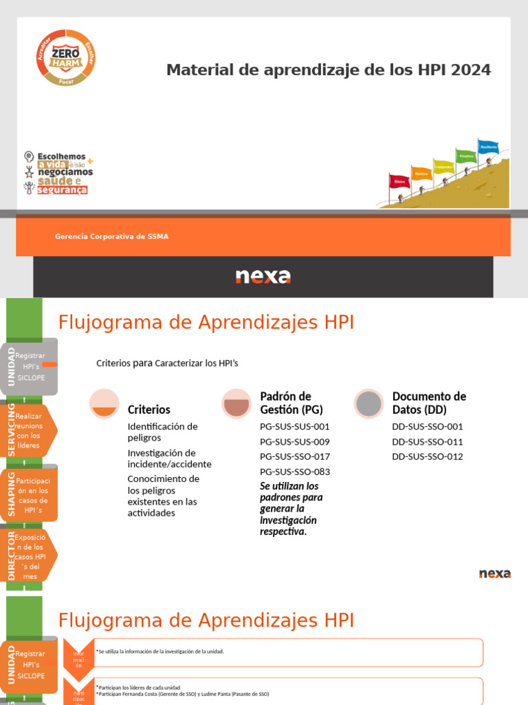 Aprendizajes HPI 2024: Flujograma y Casos | PDF