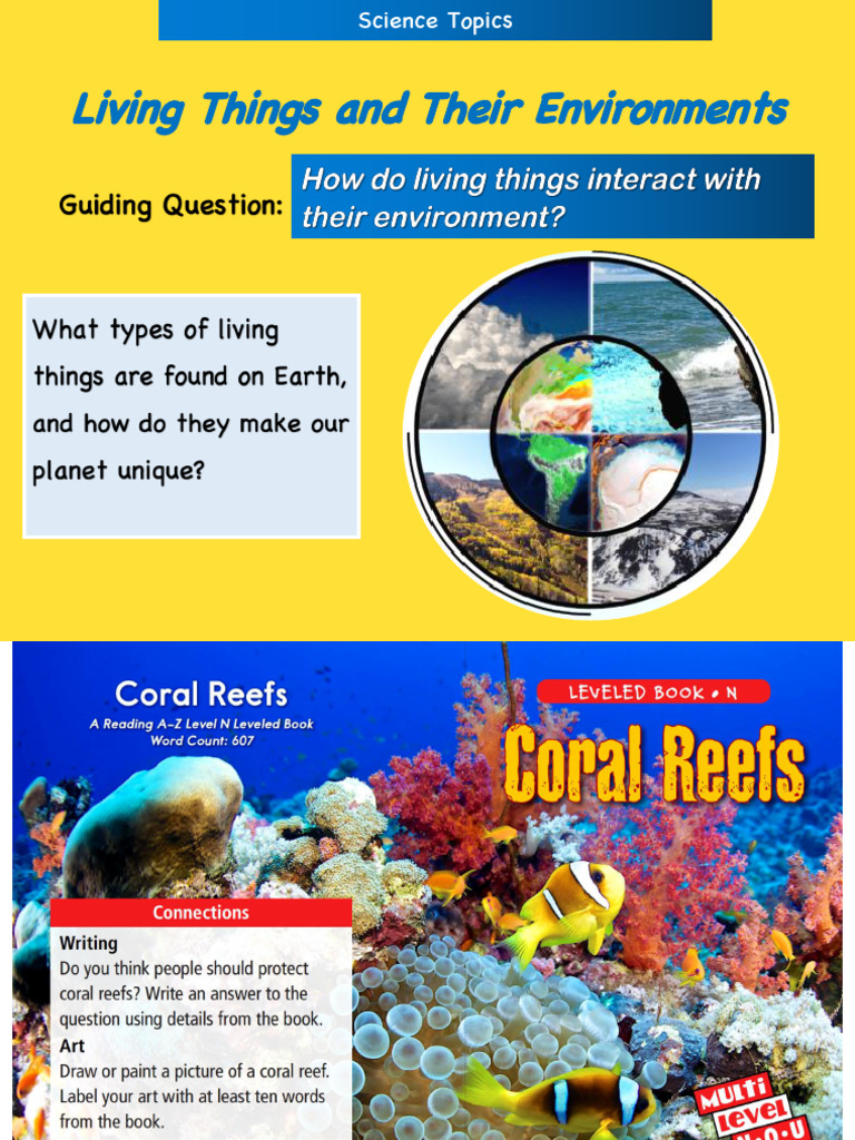 Coral Reefs: Health, Types, and Impact | PDF