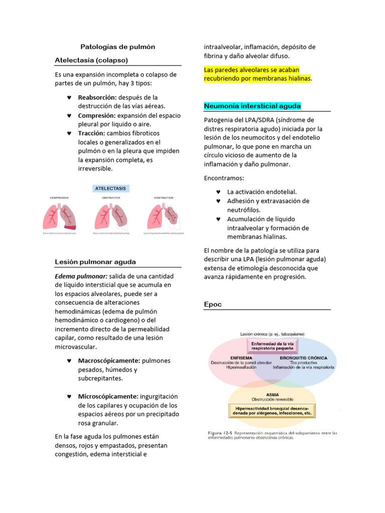 Enfermedades Pulmonares: Guía Clínica | PDF | Corazón | Cáncer de pulmón