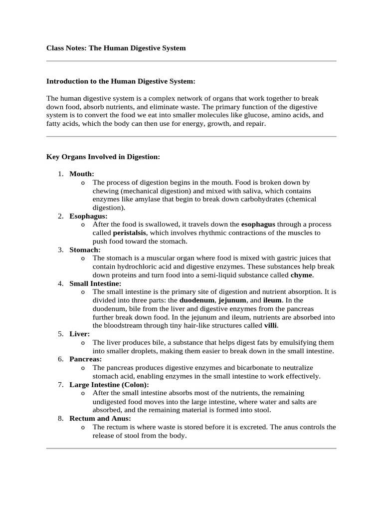 Class Notes The Human Digestive System | PDF | Digestion | Human ...