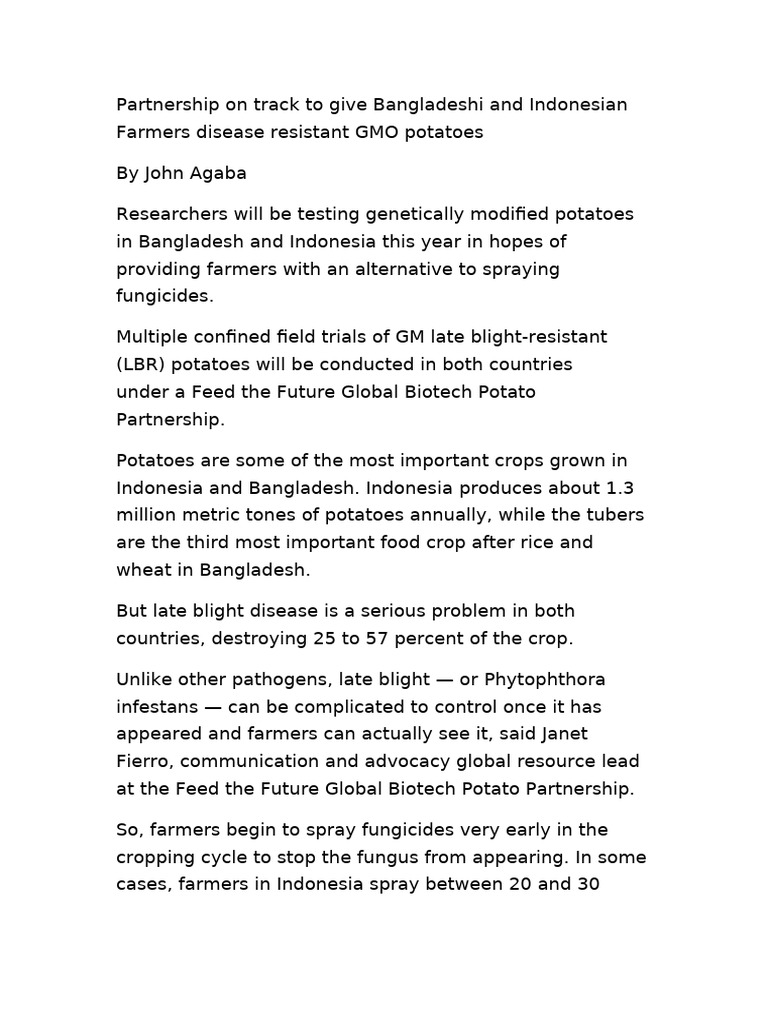 GMO Potatoes for Farmers in Bangladesh & Indonesia | PDF | Potato ...