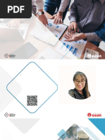 La Pirámide Del Control de Riesgos | PDF | Riesgo | Solvente