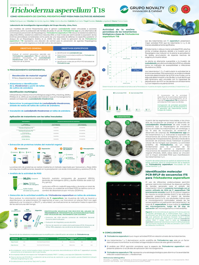 INFOGRAFIA Trichoderma Asperellum | PDF