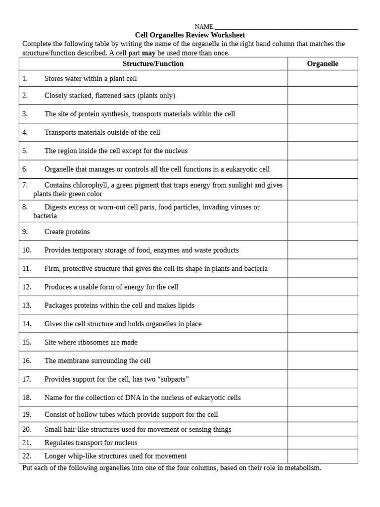 Cell Organelles Review Worksheet May Structure/Function Organelle | PDF ...