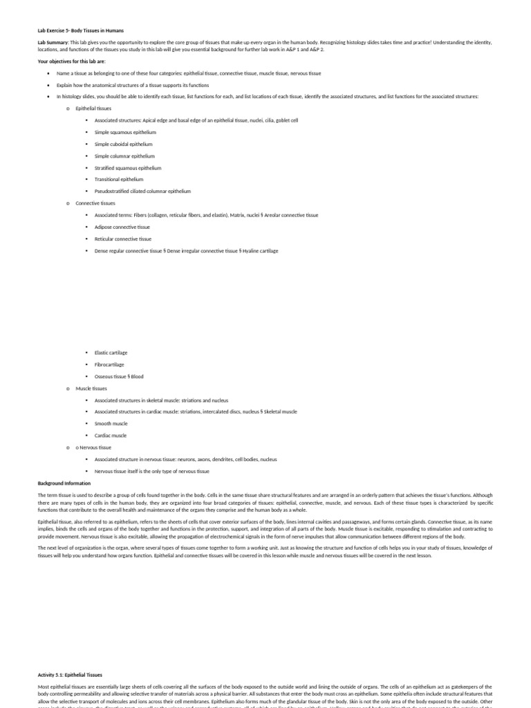 Lab Exercise 2 Body Tissues in Human 1155 | PDF | Epithelium | Connective Tissue