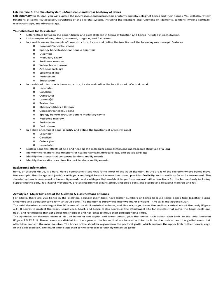 Lab Exercise 3 SKELETAL SYSTEM GROSS AND MICROSCOPIC ANATOMY39 | PDF ...