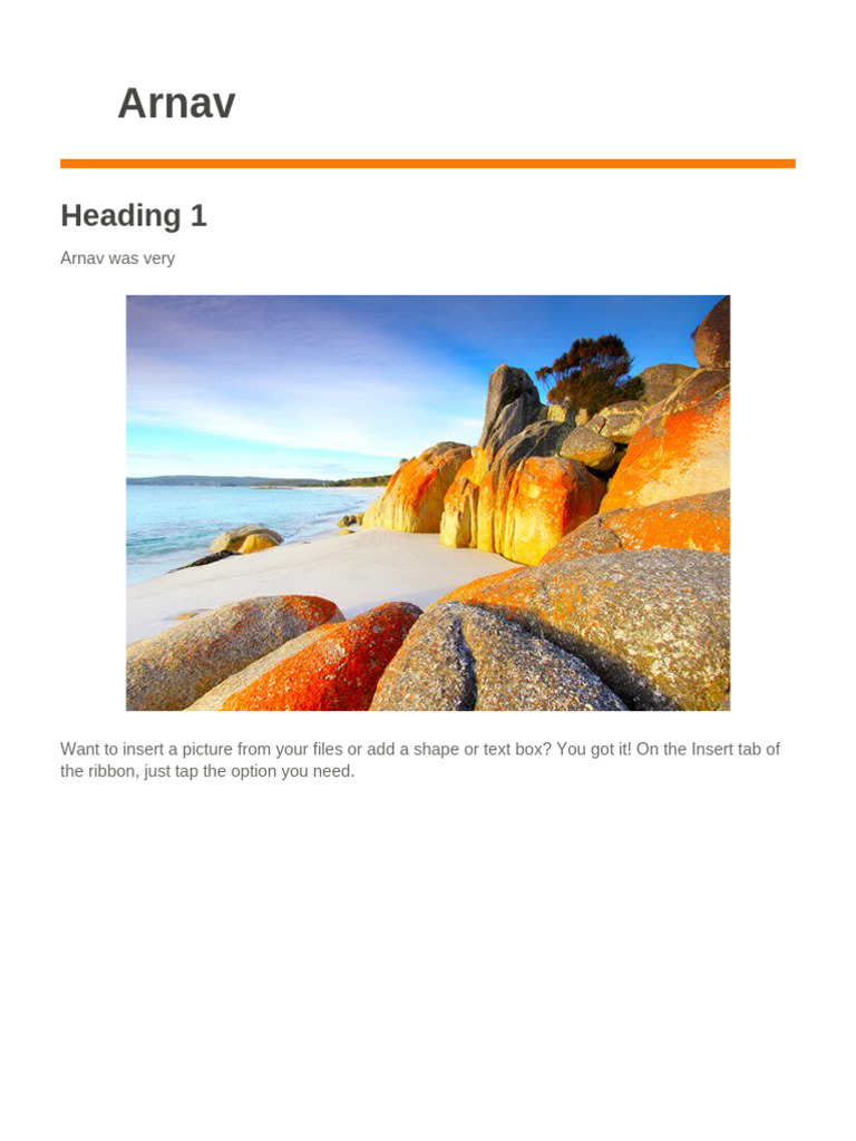 Arnav: Heading 1 | PDF