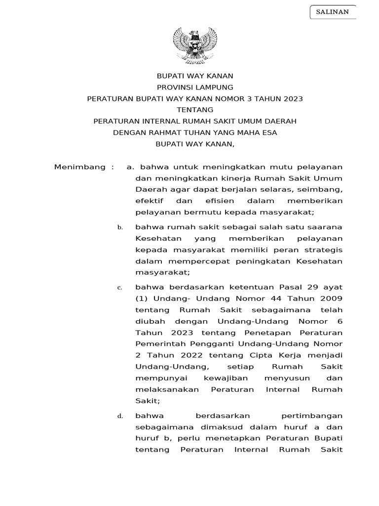 Peraturan Internal RSUD Way Kanan 2023 | PDF