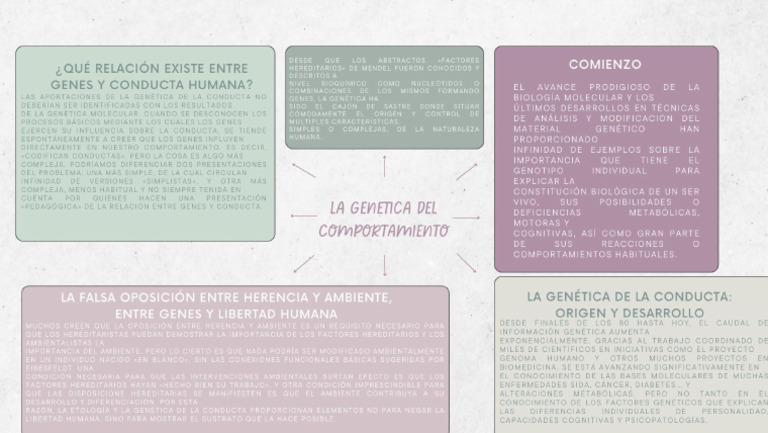 Mapa Conceptual Act 4 Pdf