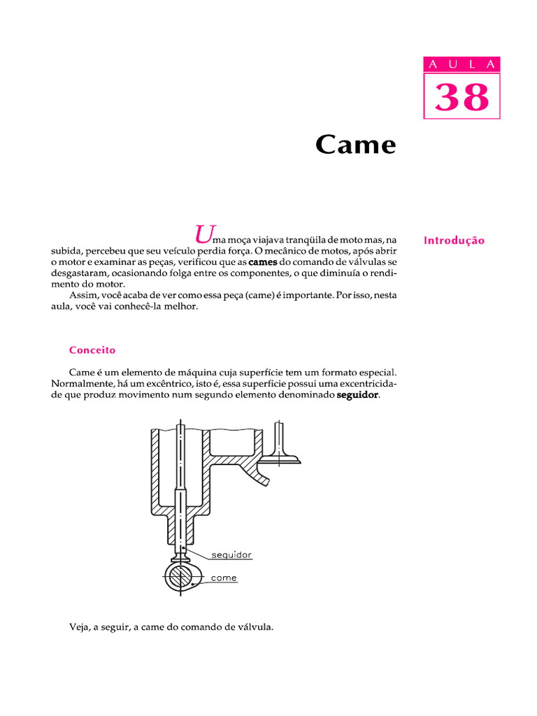 Came | PDF