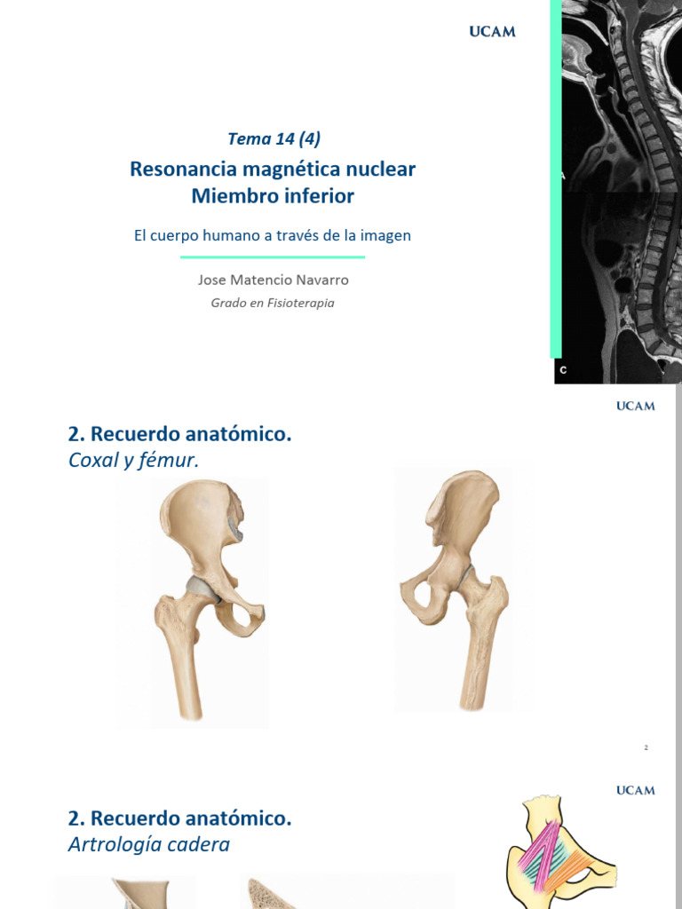 Tema 14 (4) RMN MMII | PDF | Tobillo | Rodilla