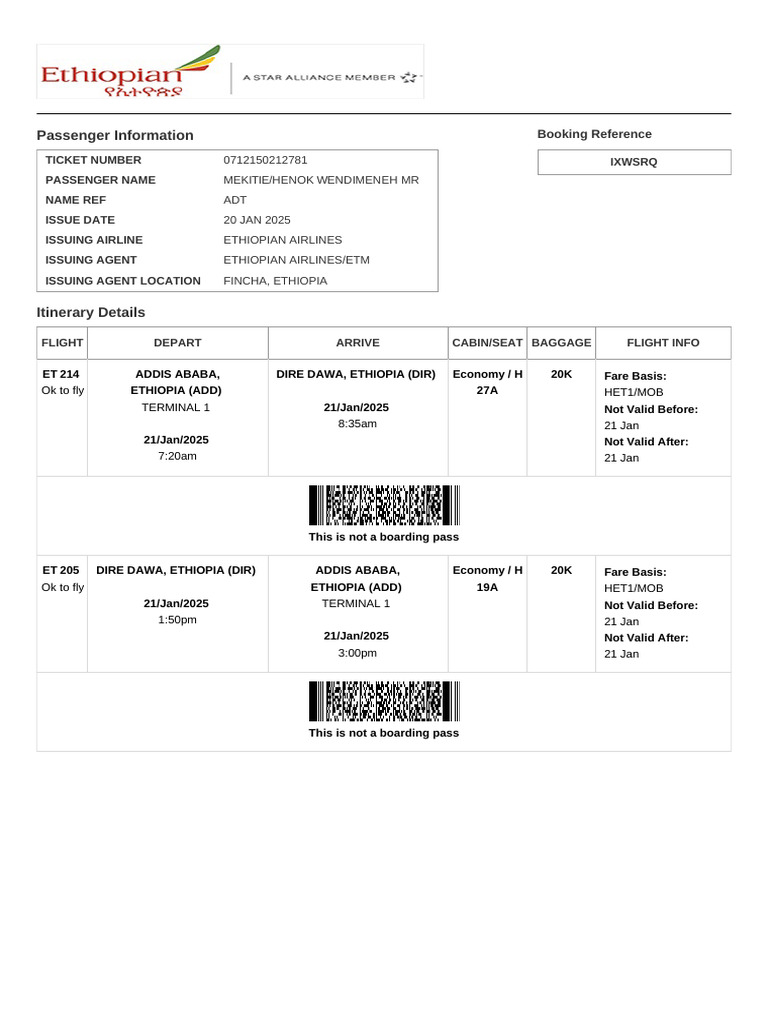 Electronic Ticket Receipt, January 21 For MR HENOK WENDIMENEH MEKITIE | PDF | Aviation