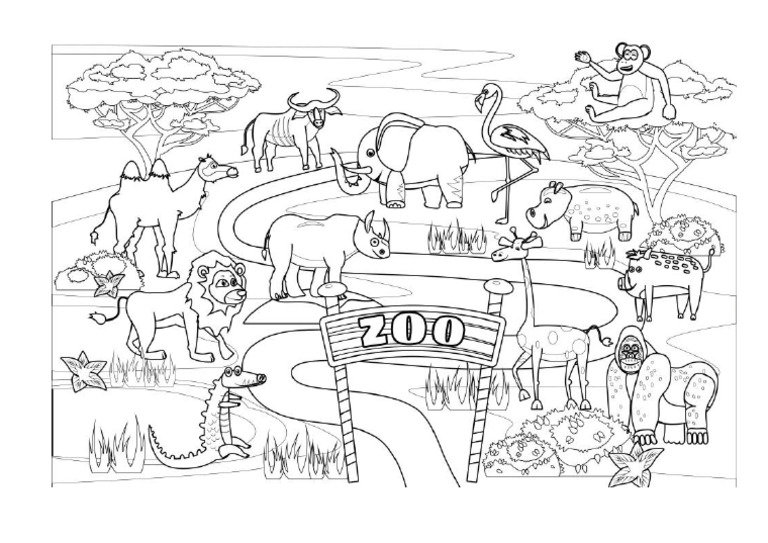 Zoo 7 | PDF