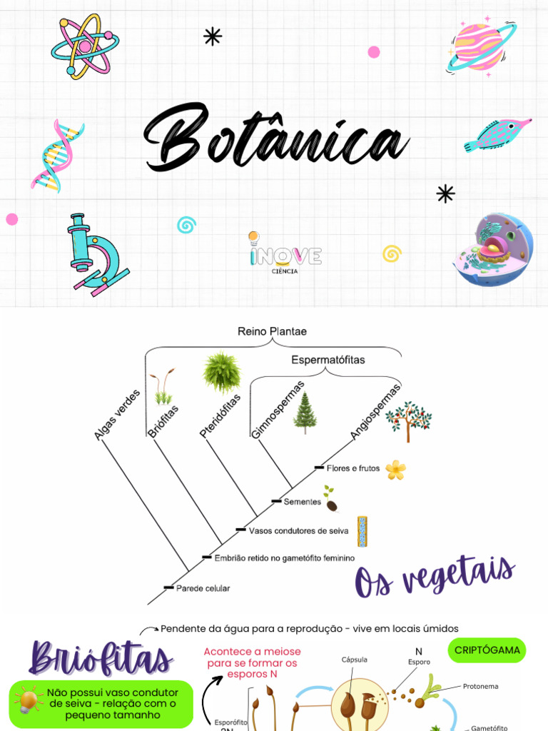 Mapas Mentais Botânica 1 | PDF | Semente | Raiz