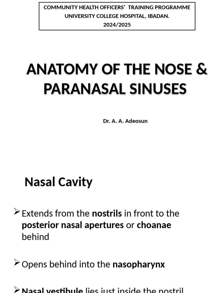 Anatomy of Nose & Sinuses Overview | PDF | Human Nose | Human Head And Neck