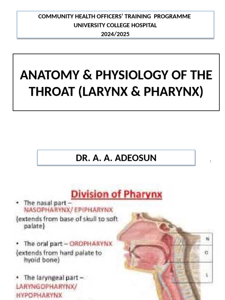 Anatomy and Physiology Throat-1 | PDF | Larynx | Mouth
