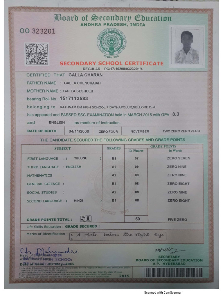 Charan Certificate PDF | PDF