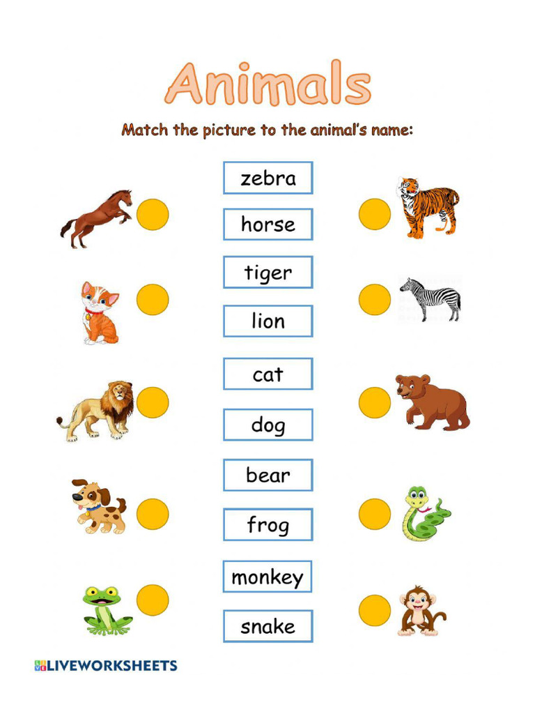 Animals | PDF
