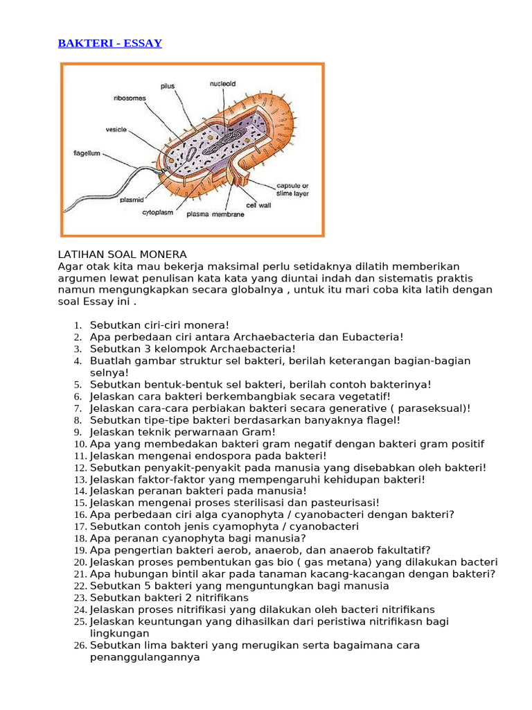 BAKTERI | PDF