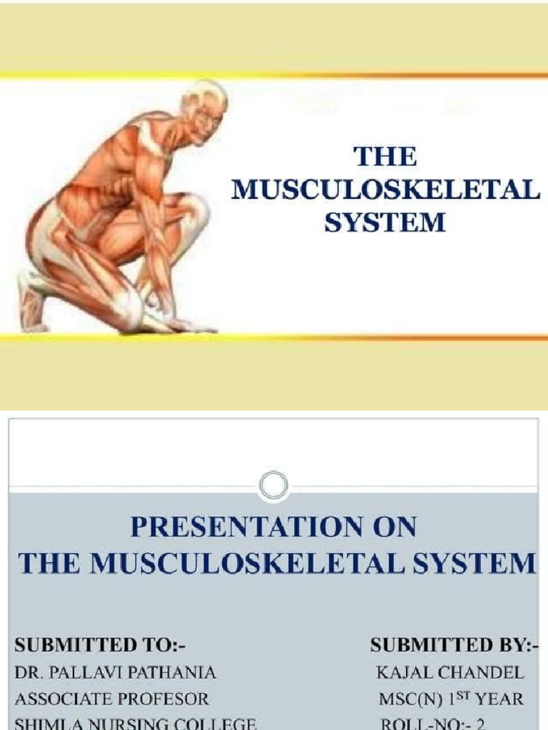 Musculoskeletal System | PDF