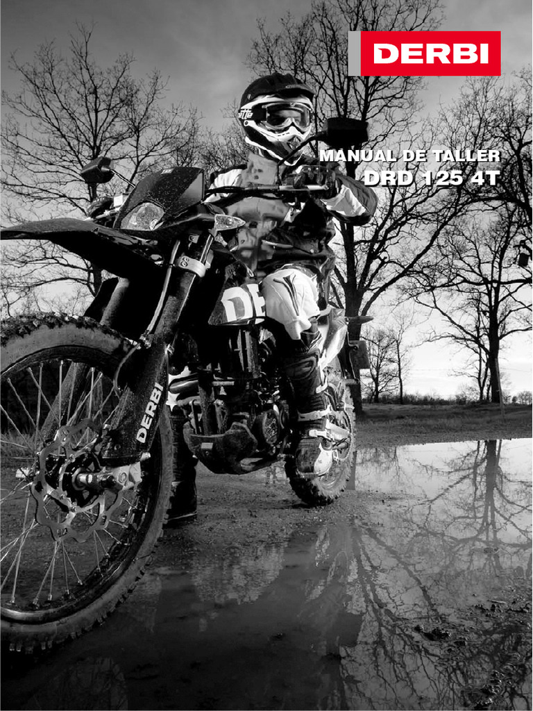 ES - MANUAL DE TALLER DRD 125 4T Rev0 | PDF | Tornillo | Rodamiento (Mecánico)