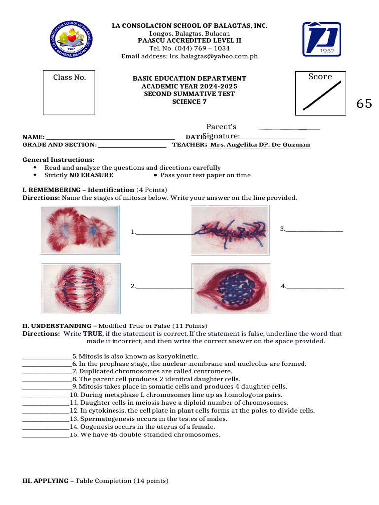 Science7-Second Summative Test | PDF | Meiosis | Mitosis
