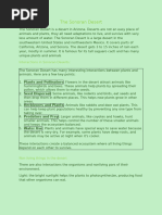 Sonoran Desert Ecosystem Overview | PDF | Food Web | Ecosystem