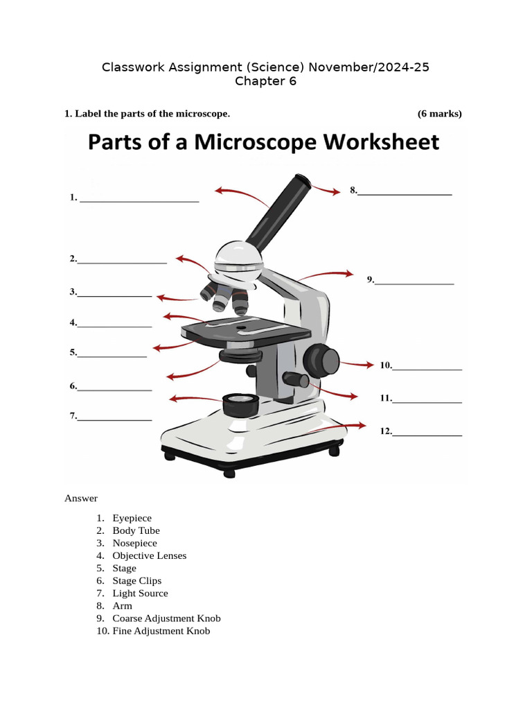 Classwork Assignment Chap 6 | PDF