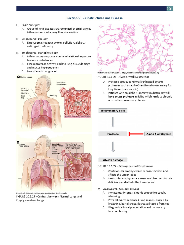 Obstructive Lung Diseases | PDF | Chronic Obstructive Pulmonary Disease ...