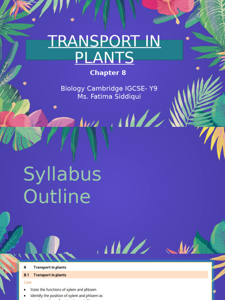 Chap 8 Transport in Plants | PDF | Root | Leaf