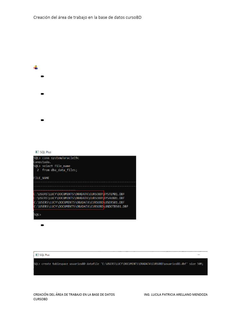 Configurar Tablespace y Usuarios en Oracle 19c | PDF | Programación de computadoras | SQL