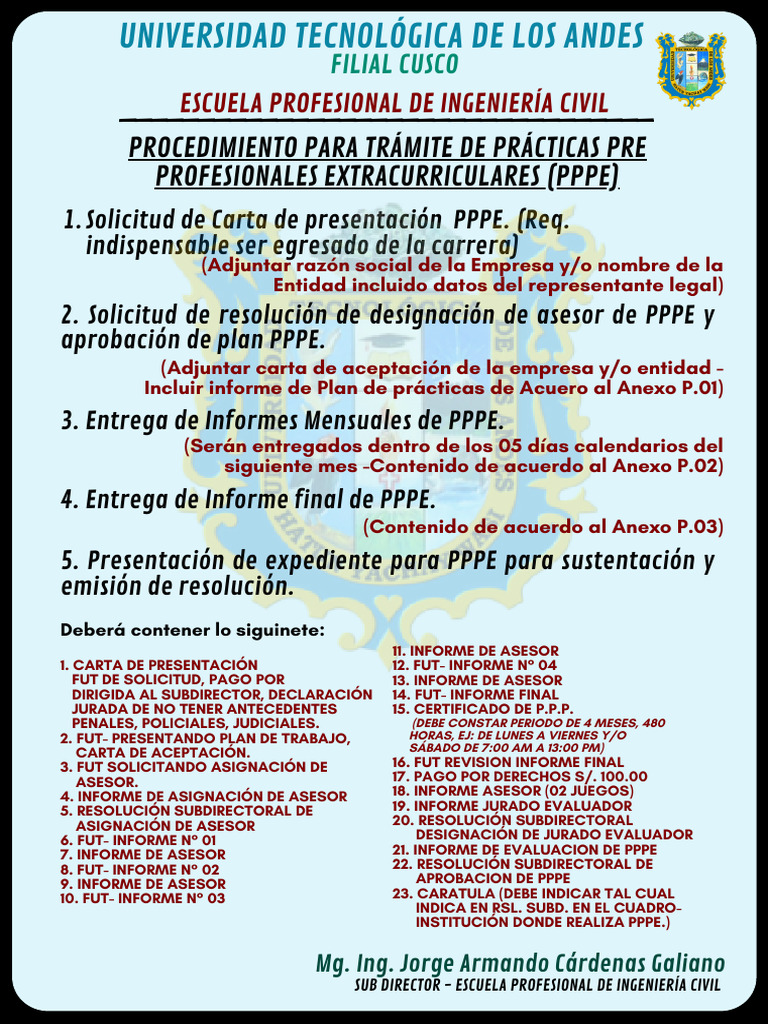 Procedimiento para Trámite de Pppe - 250203 - 164327 | PDF