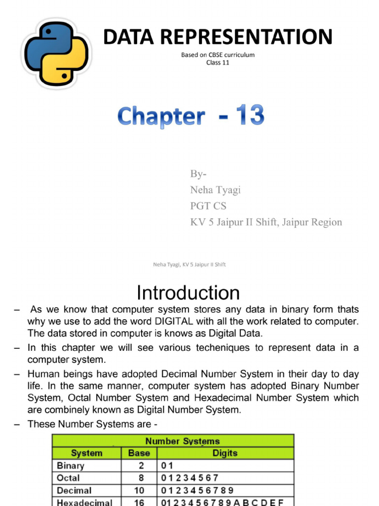 Chapter 13 Engdata Representation | PDF