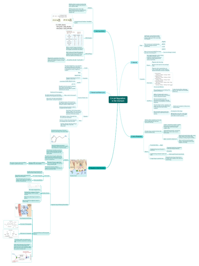 pH Regulation and Antacid Usage Guide | PDF | Buffer Solution | Ph