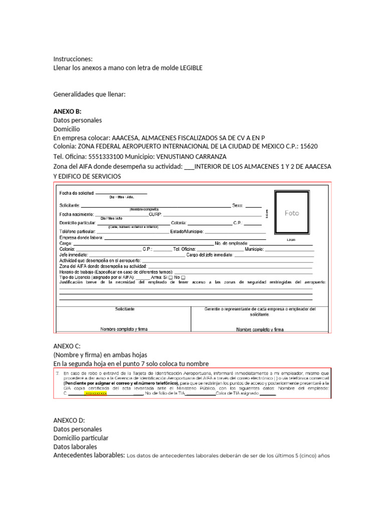 Instrucciones para Llenar Anexos de AAACESA | PDF