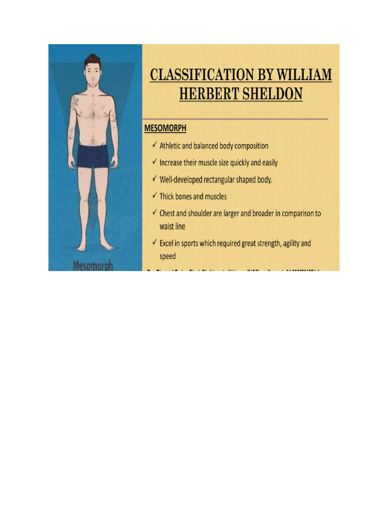 Somato Types by Sheldon | PDF
