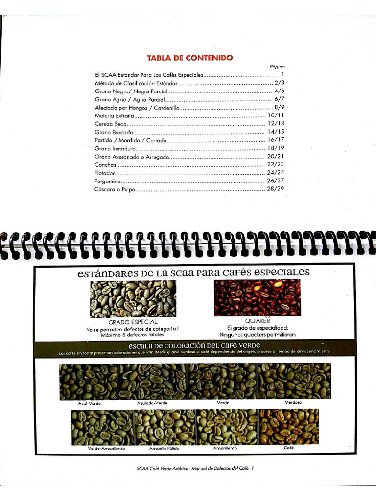 Manual de Defectos Del Café (SCAA) | PDF