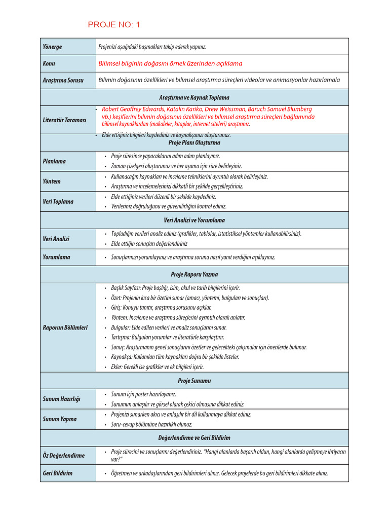 Sinif Proje Ödev Konulari 20 | PDF